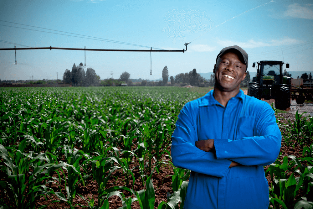 Business Consultancy - JP Management Foundation Business Consultancy in Arua